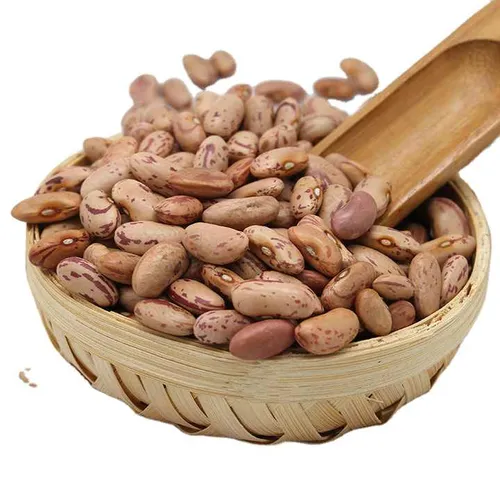 Kidney Beans – HISH RESOURCES